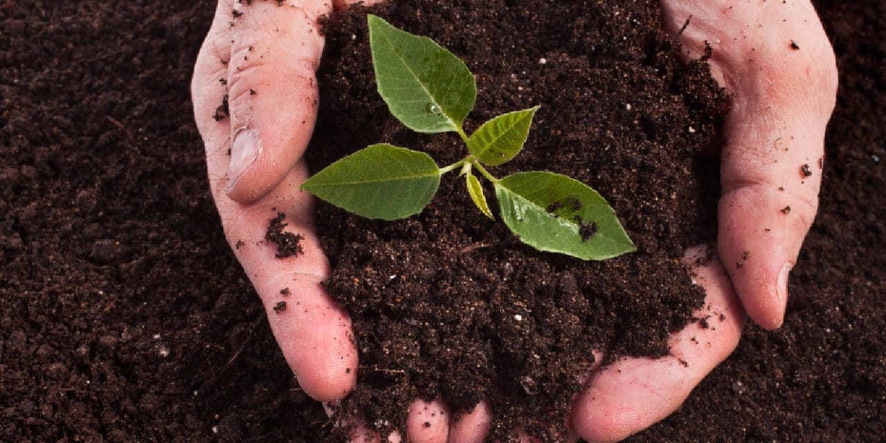 Le premier centre de compostage humain au monde ouvrira ses portes en 2021
