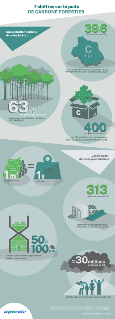 7 chiffres sur le puits de carbone forestier
