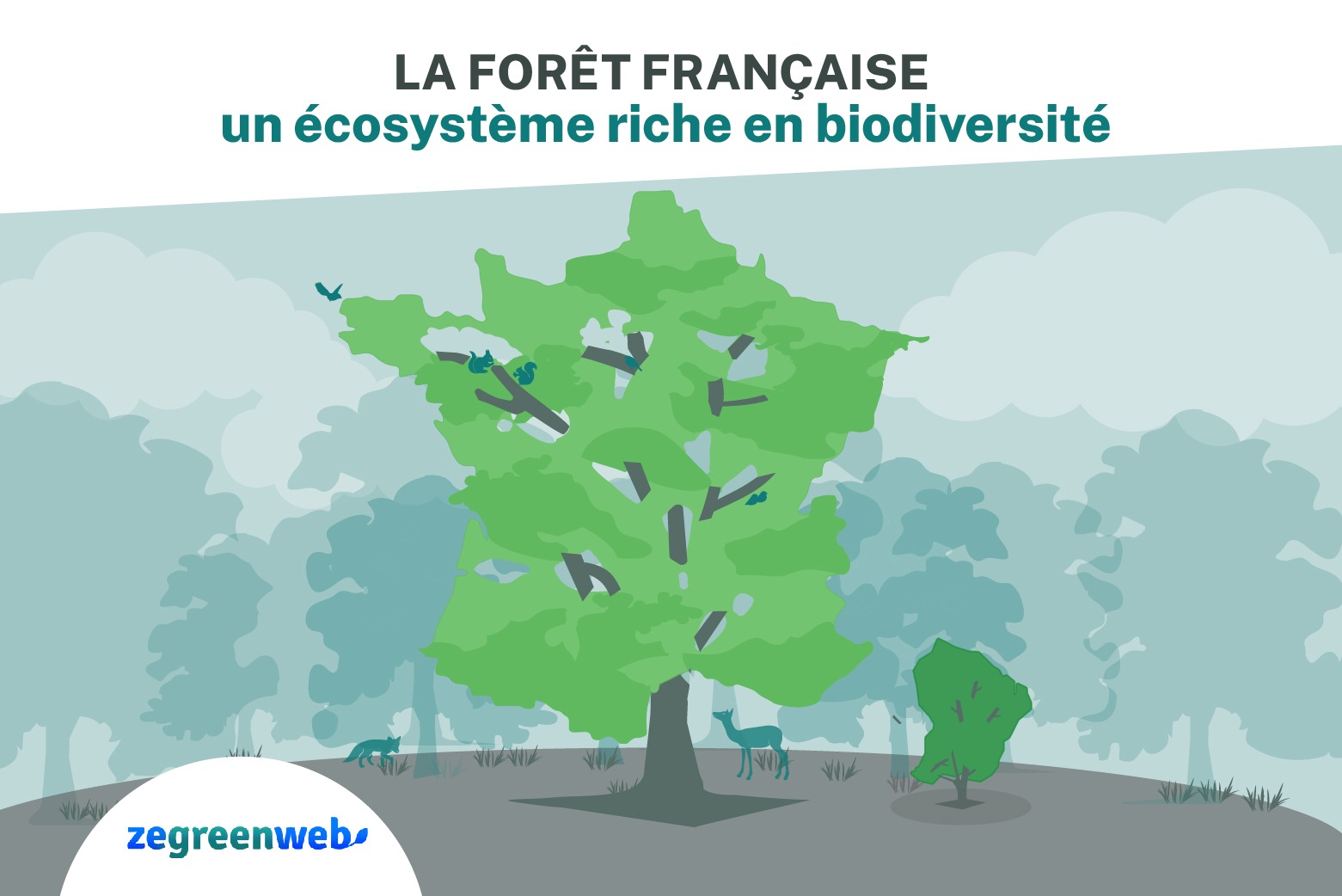 écosystème Forestier